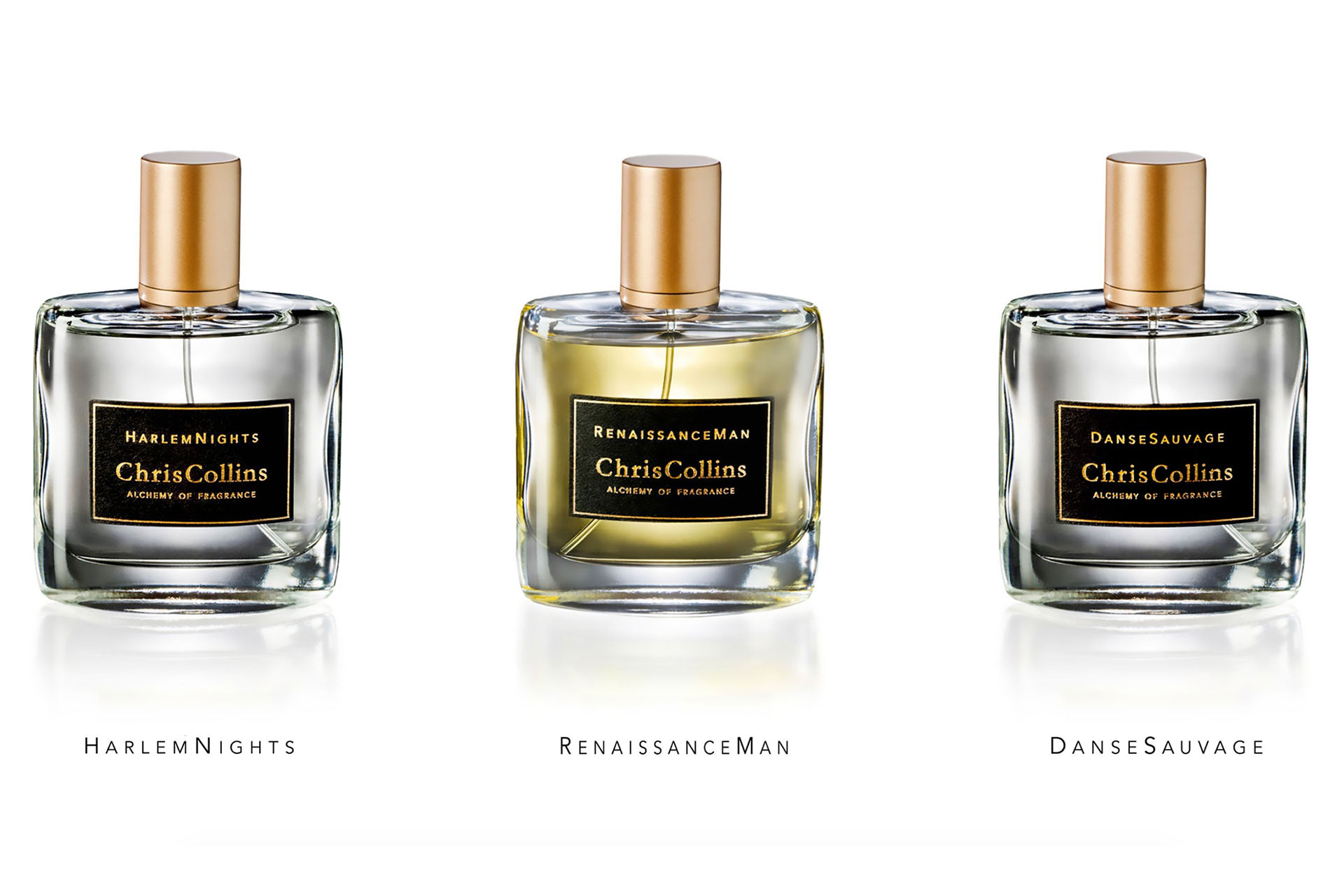 Fragrance and Business - The X Concept